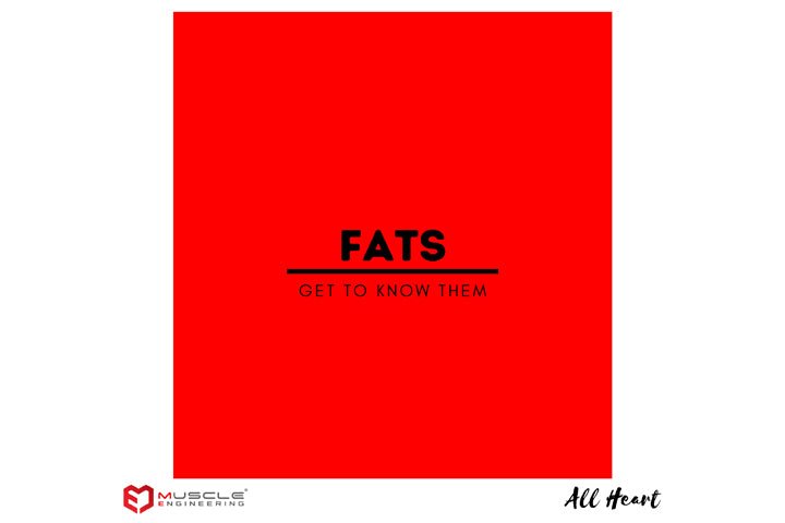 Get to know your FATS… read on! – Muscle Engineering